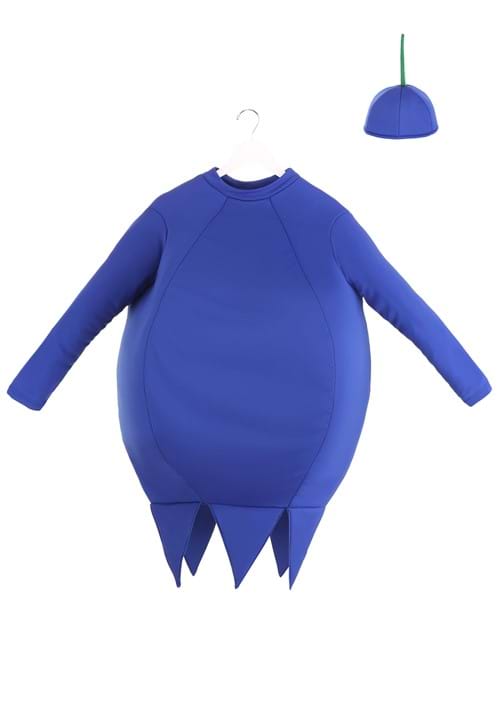 Adult Blueberry Costume