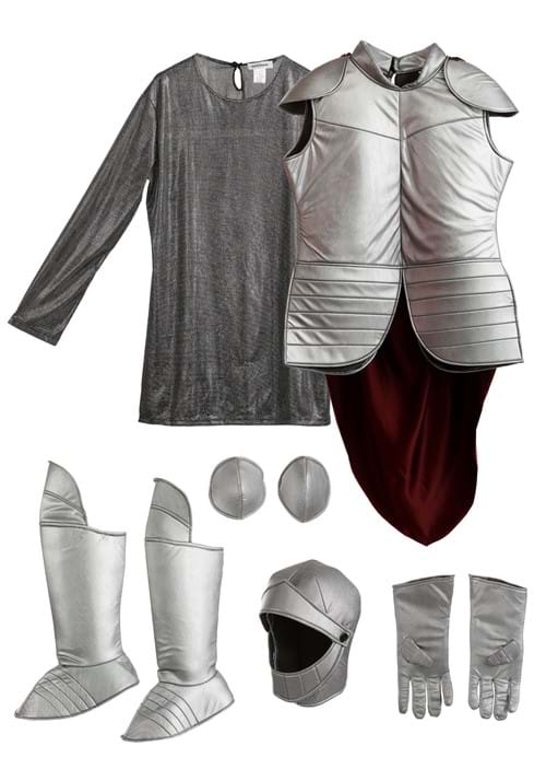 Men's Royal Medieval Knight Costume