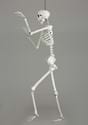 Posable 5 Ft Skeleton