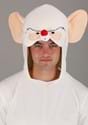 Adult Pinky and the Brain Brain Costume