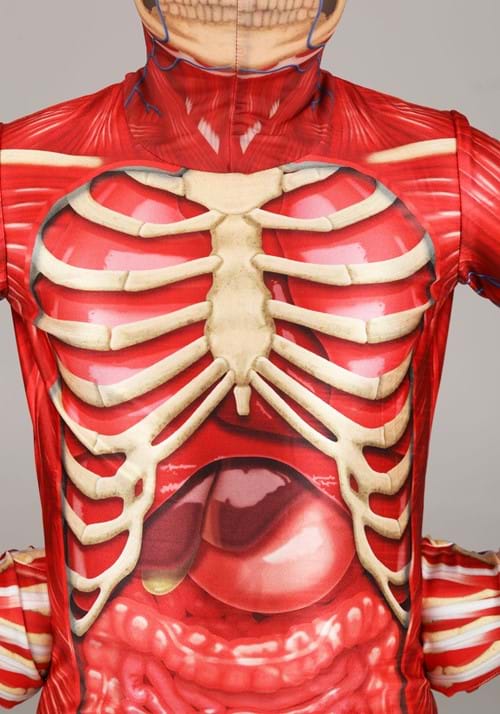 Kid's Anatomical Muscle Suit Costume