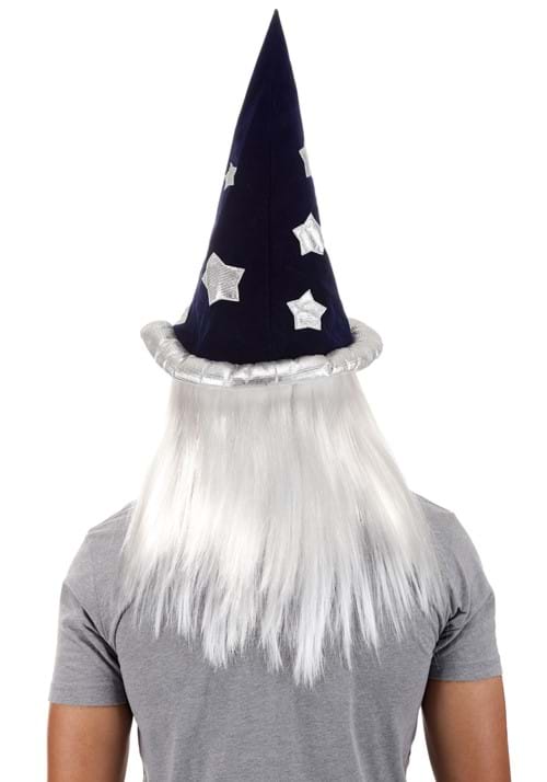 Costume Kit Merlin Wig and Beard