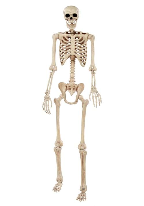 74" Skeleton Halloween Prop | Skeleton Decorations